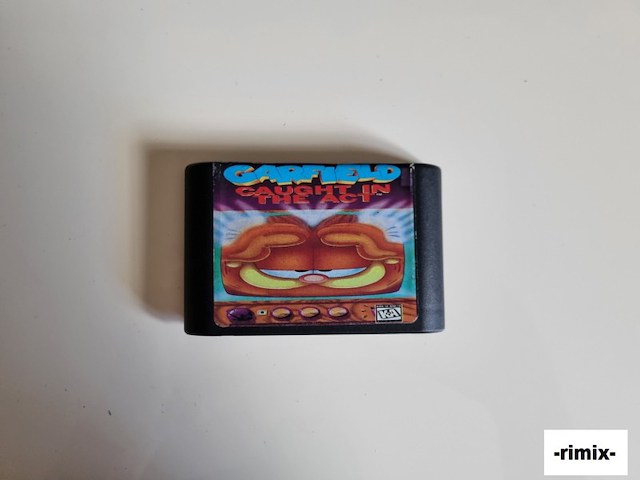 Sega igra - Garfield