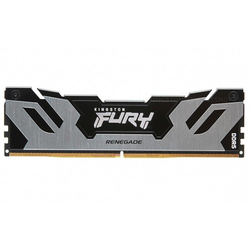 Kingston 16GB (1x16GB) DDR5 6400MT/s CL32 FURY Renegade Silver memorija | KF564C32RS-16