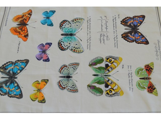 Kuhinjska krpa Butterflies1 45x70cm
