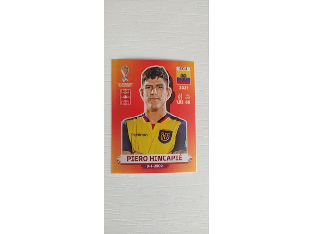 Panini FIFA 2022 Qatar ECU 07