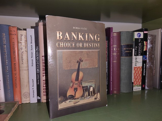 Banking - choice or destiny Borka Vučić