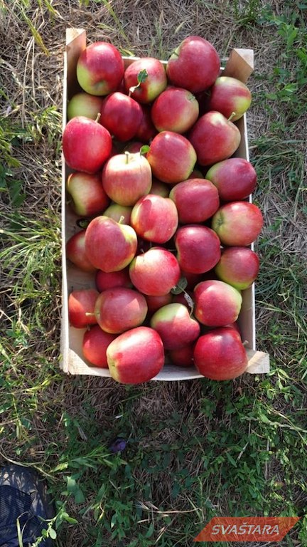 Drveni jabučari