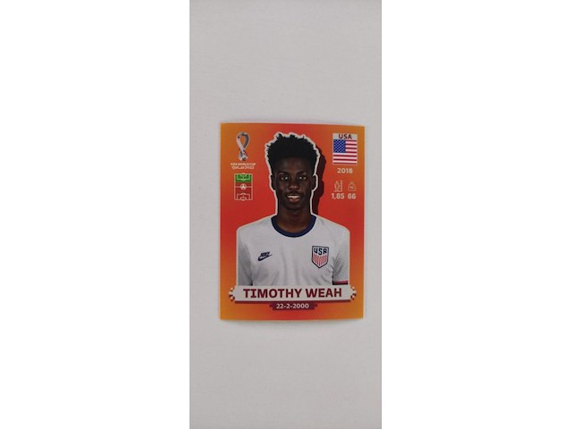 Panini FIFA 2022 Qatar USA 19