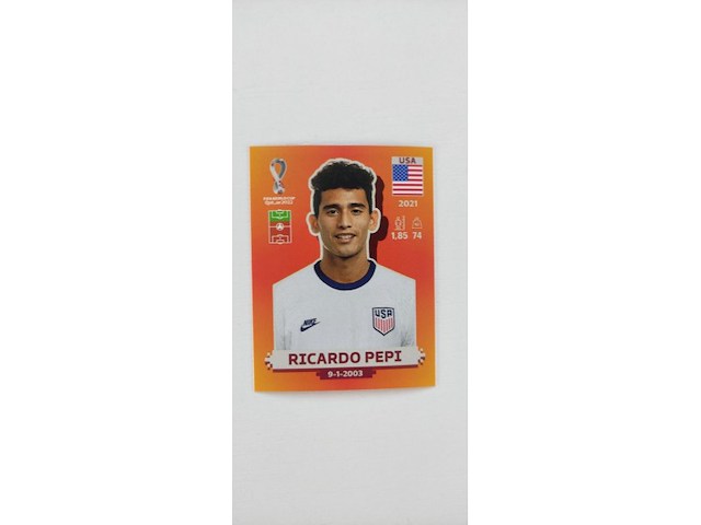 Panini FIFA 2022 Qatar USA 16