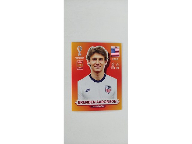 Panini FIFA 2022 Qatar USA 10