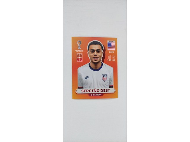 Panini FIFA 2022 Qatar USA 04