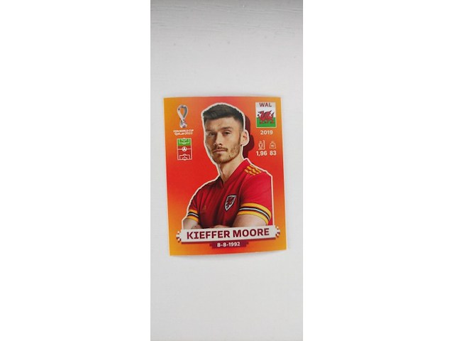 Panini FIFA 2022 Qatar WAL 19