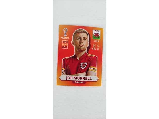 Panini FIFA 2022 Qatar WAL 12