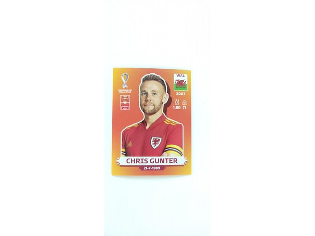 Panini FIFA 2022 Qatar WAL 06