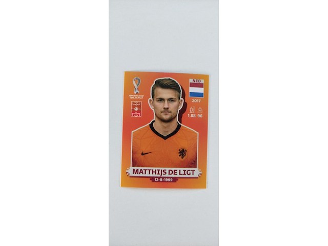 Panini FIFA 2022 Qatar NED 05