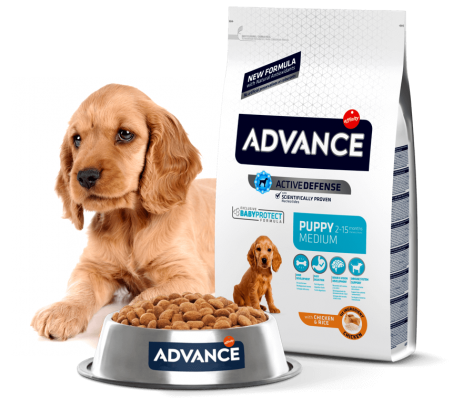 Advance Dog Puppy Medium