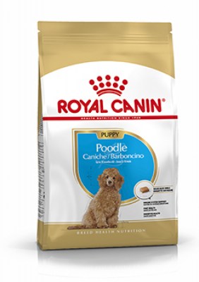 Royal Canin Poodle Junior