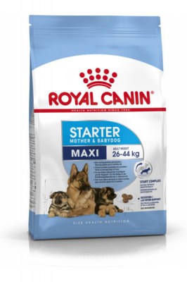 Royal Canin Maxi Starter 4kg