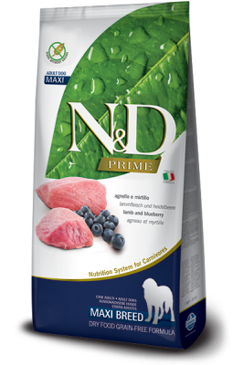 N&D Prime Maxi Adult Lamb&Blueberry