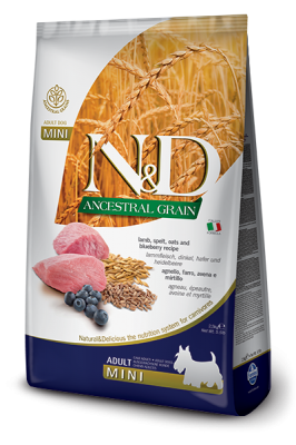 N&D Low Grain Mini Adult Lamb&Blueberry