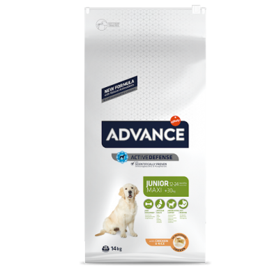 Advance Maxi Junior 14kg