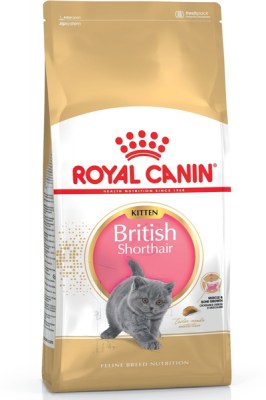 Royal Canin British Shorthair 34