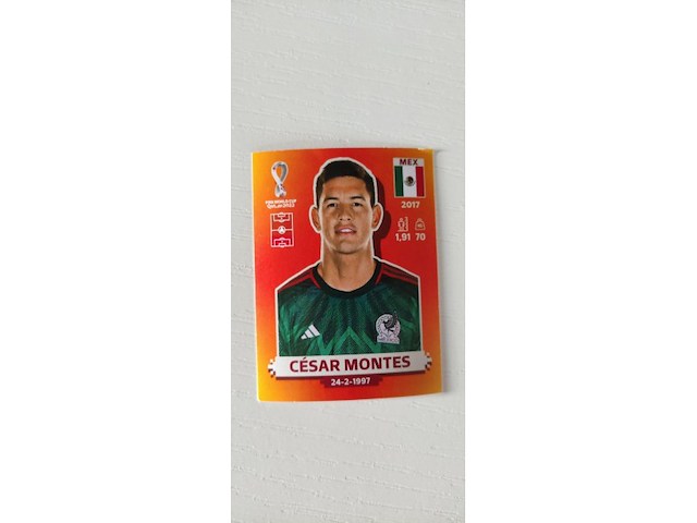 Panini FIFA 2022 Qatar MEX 06