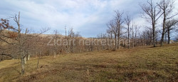 Prodajem Zemljište, Zlatibor-Čajetina, €23.000