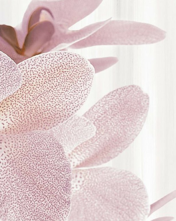 Amalia Orchid Decor 1
