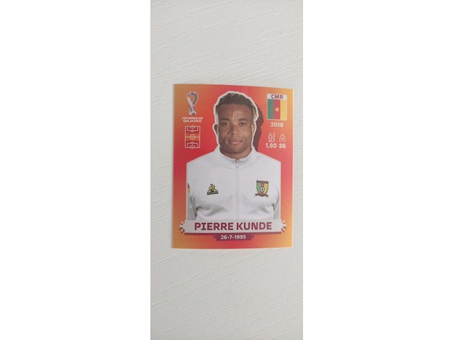 Panini FIFA 2022 Qatar CMR 11