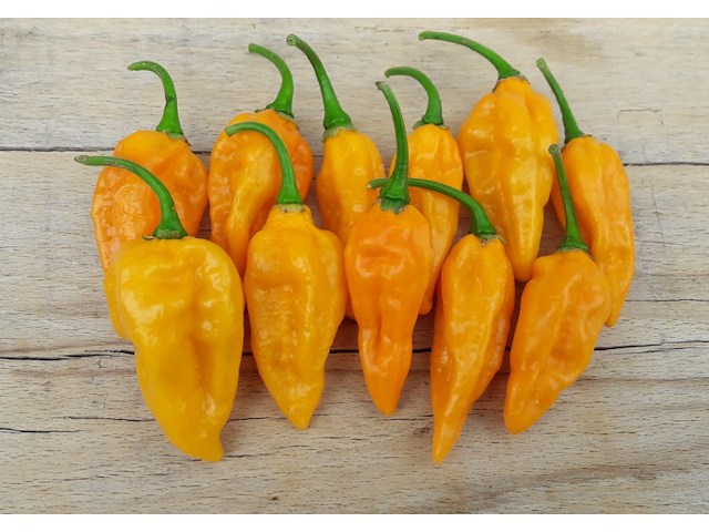 Fatalii (Yellow) - Chili pepper 20 semenki