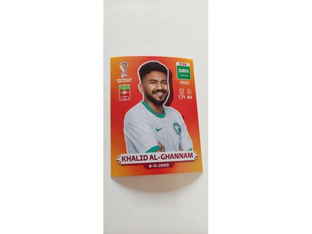 Panini FIFA 2022 Qatar KSA 19