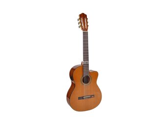 Salvador Cortez CC-10CE ozvučena klasična gitara