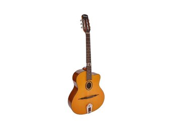 Richwood RM-70-NT akustična gitara