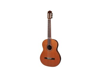 Salvador Cortez CC-90 Master Series klasična gitara
