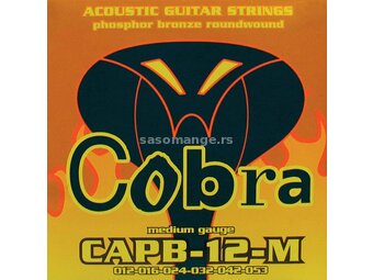 Cobra CAPB-12-M