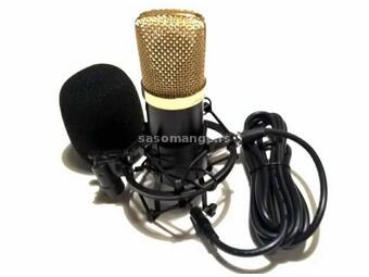 mikrofon studijski - BM - 700 kondenser microphone