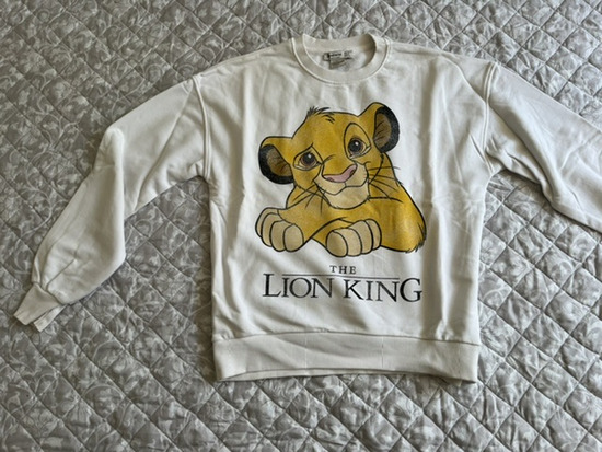 Lion King duks