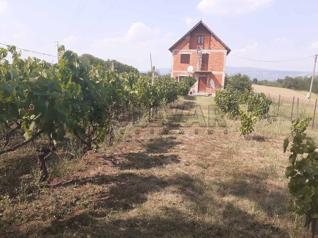 Na prodaju kuća u naselju Katun, na putu za Aleksinac, plac 5 ari plus voćnjak 613m2