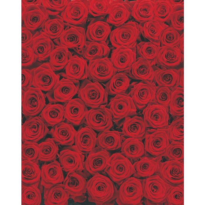 Phot.mur.Roses-vrata 97*270cm