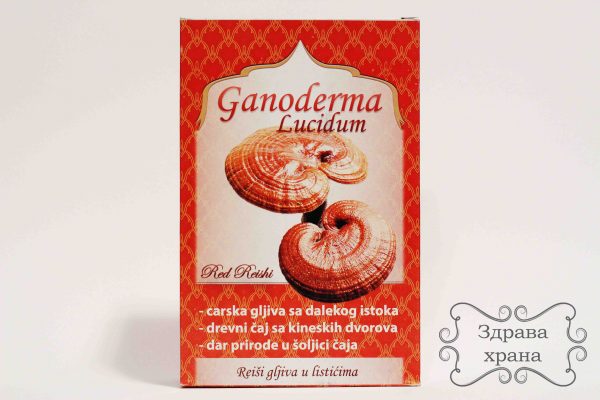 Reishi – ganoderma licidum