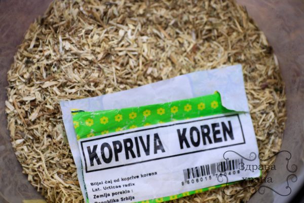 Kopriva koren