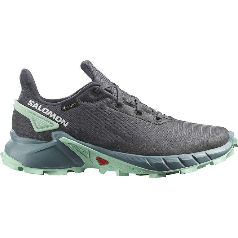 Salomon ALPHACROSS 4 GTX W, ženske patike za trail trčanje, siva