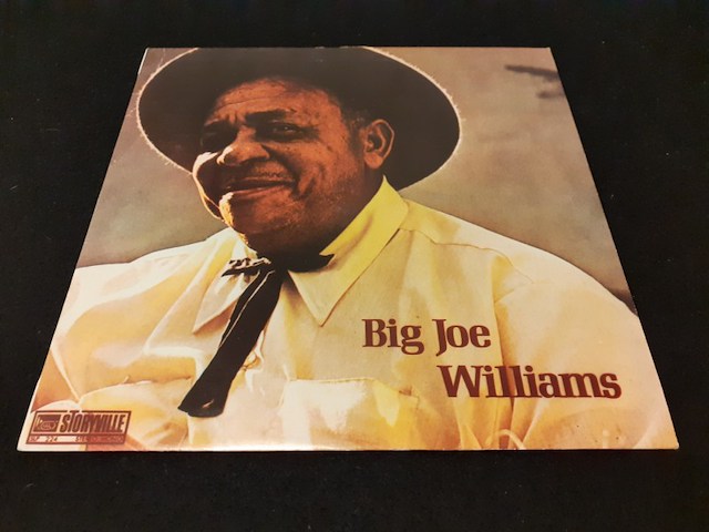 Big Joe Williams - Big Joe Williams (MINT)