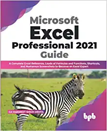 Microsoft Excel Professional 2021 Guide