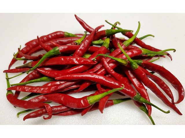 Chilli Pepper De Arbol (25 semenki)