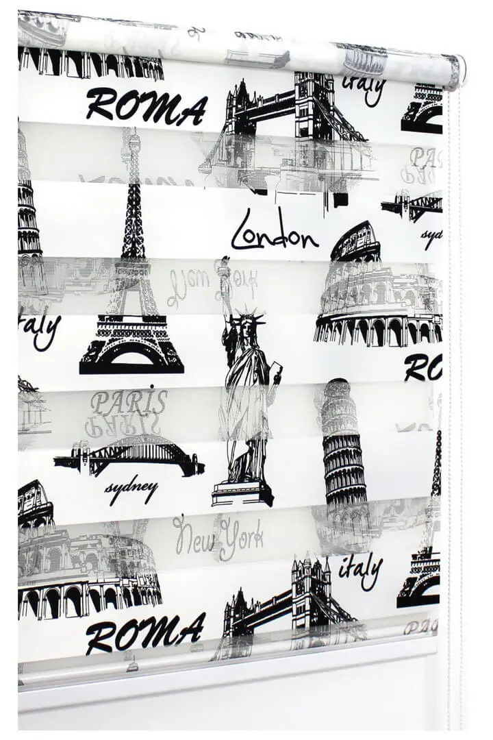 Print B&W city zebra