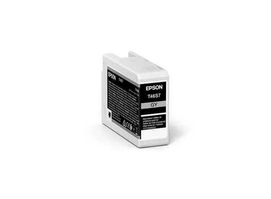 Singlepack Gray T46S7 UltraChrome Pro 10 ink 25ml