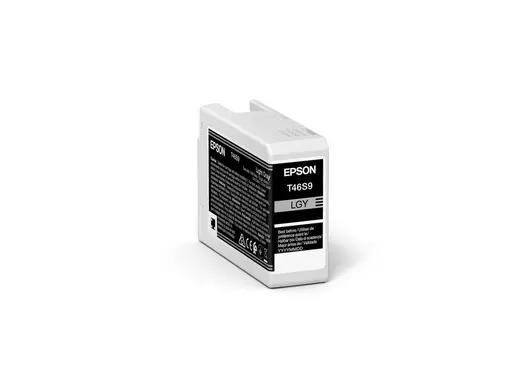 Singlepack Light Gray T46S9 UltraChrome Pro 10 ink 25ml