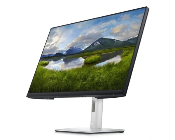 DELL 27″ P2722H Professional IPS monitor