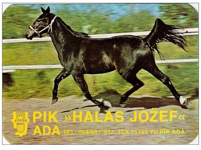 PIK Halas Jozef Ada 1983 Dzepni kalendar