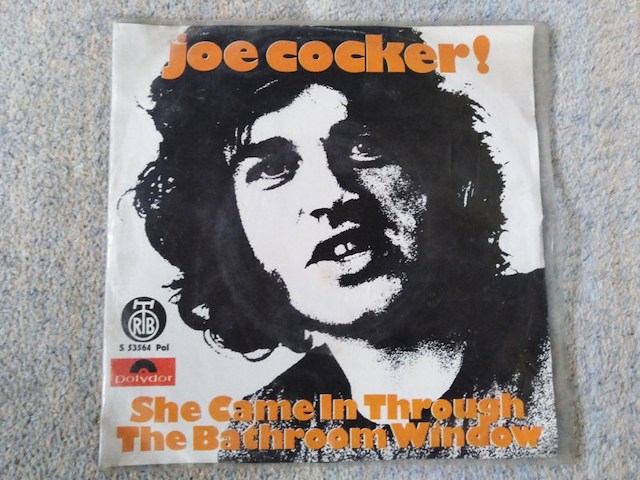 Joe Cocker - She Came In Through