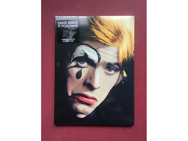 David Bowie - iN THE BEGiNNiNG  Limited Edition 1966/67