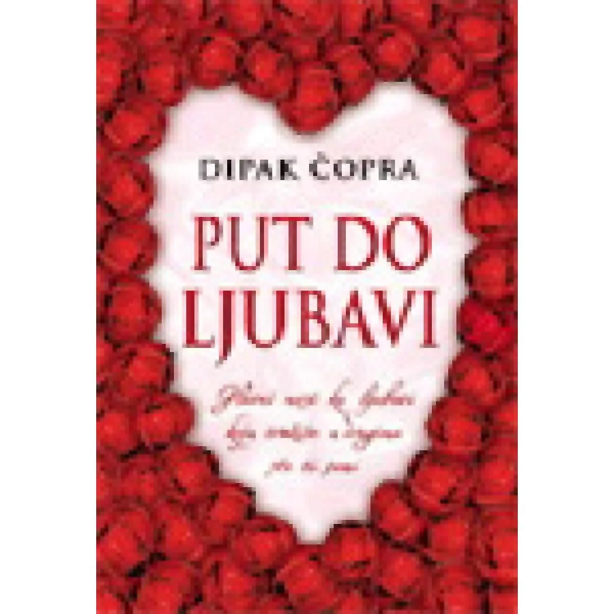 PUT DO LJUBAVI