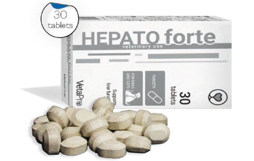 HEPATOFORTE 30 tablets 1tbl =1gr